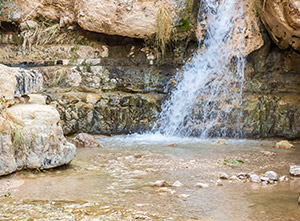 Elim Desert Oasis - 2022/23 Egypt Tours and Nile Cruises